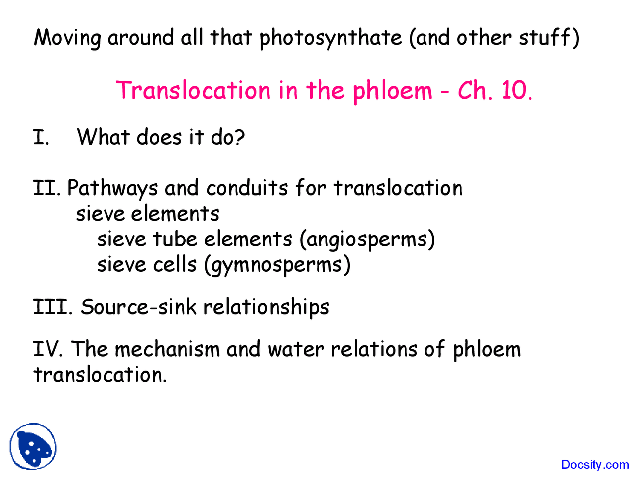 Translocation In Phloem Plant Physiology Lecture Slides Docsity