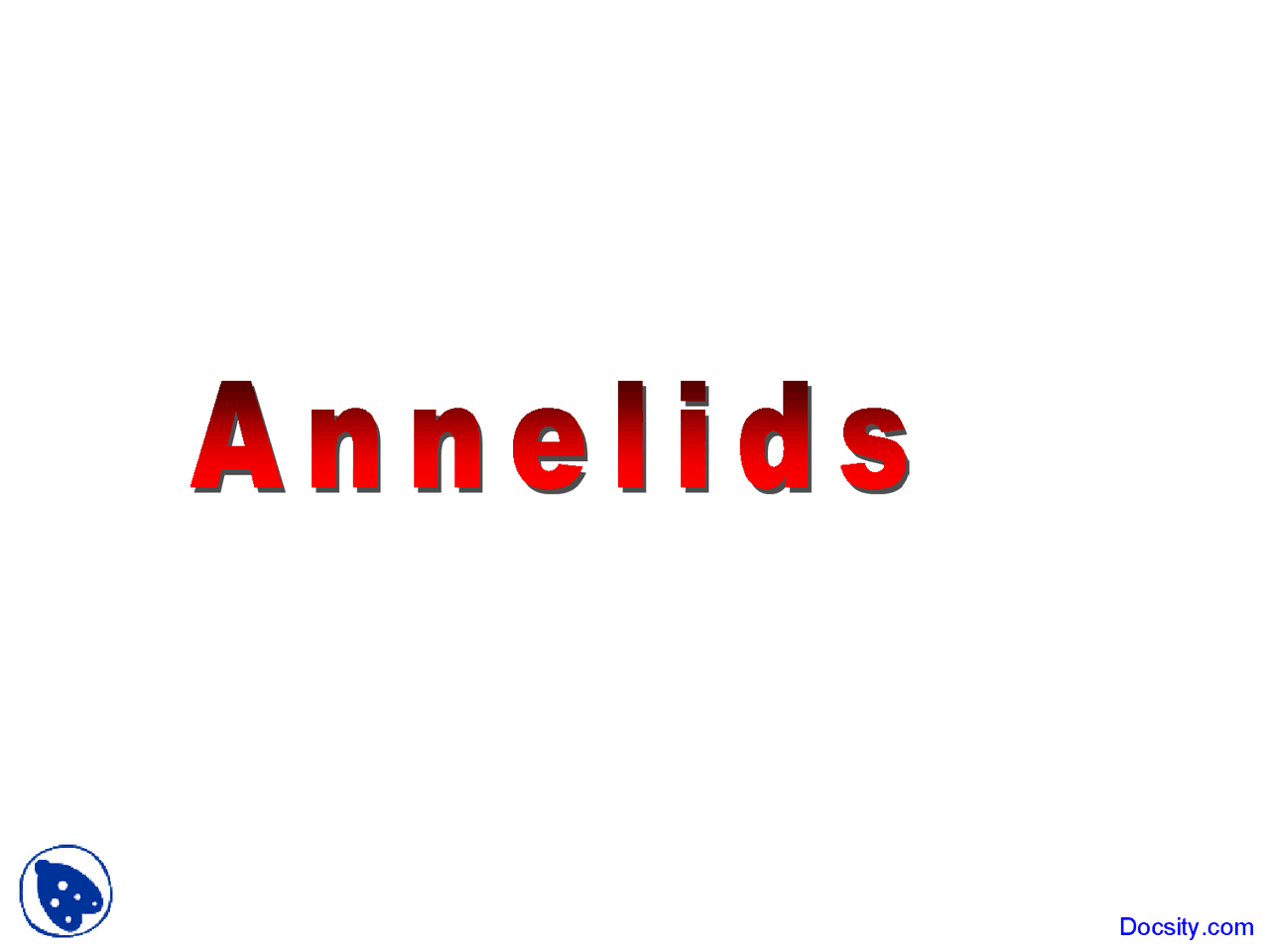 Annelids Introduction To Biology Lecture Slides Docsity