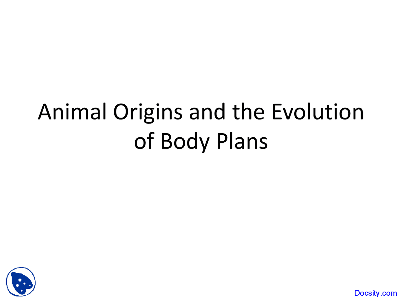 Animal Origins - Introduction to Biology - Lecture Slides - Docsity