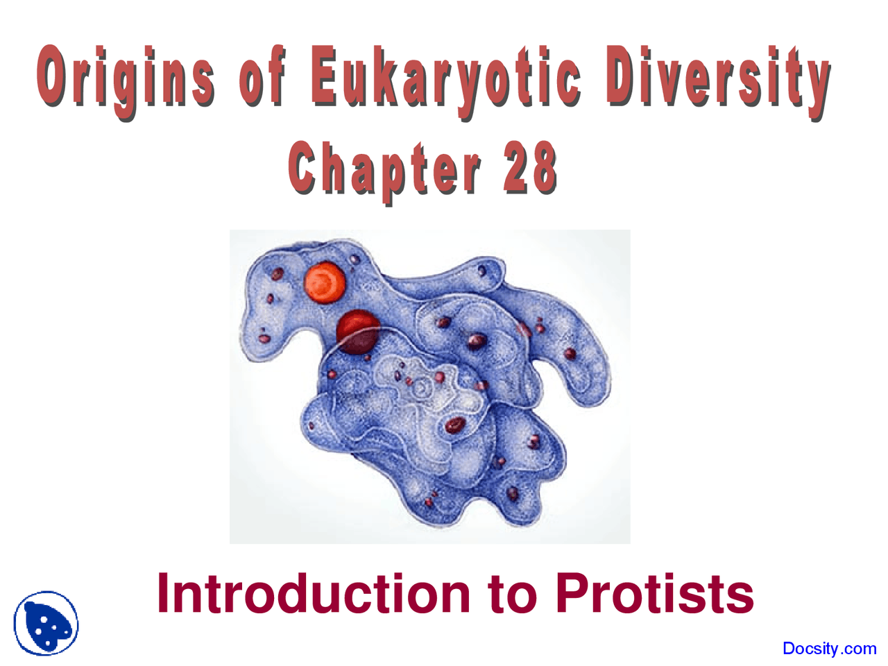 Introduction To Protists Introduction To Biology Lecture Slides