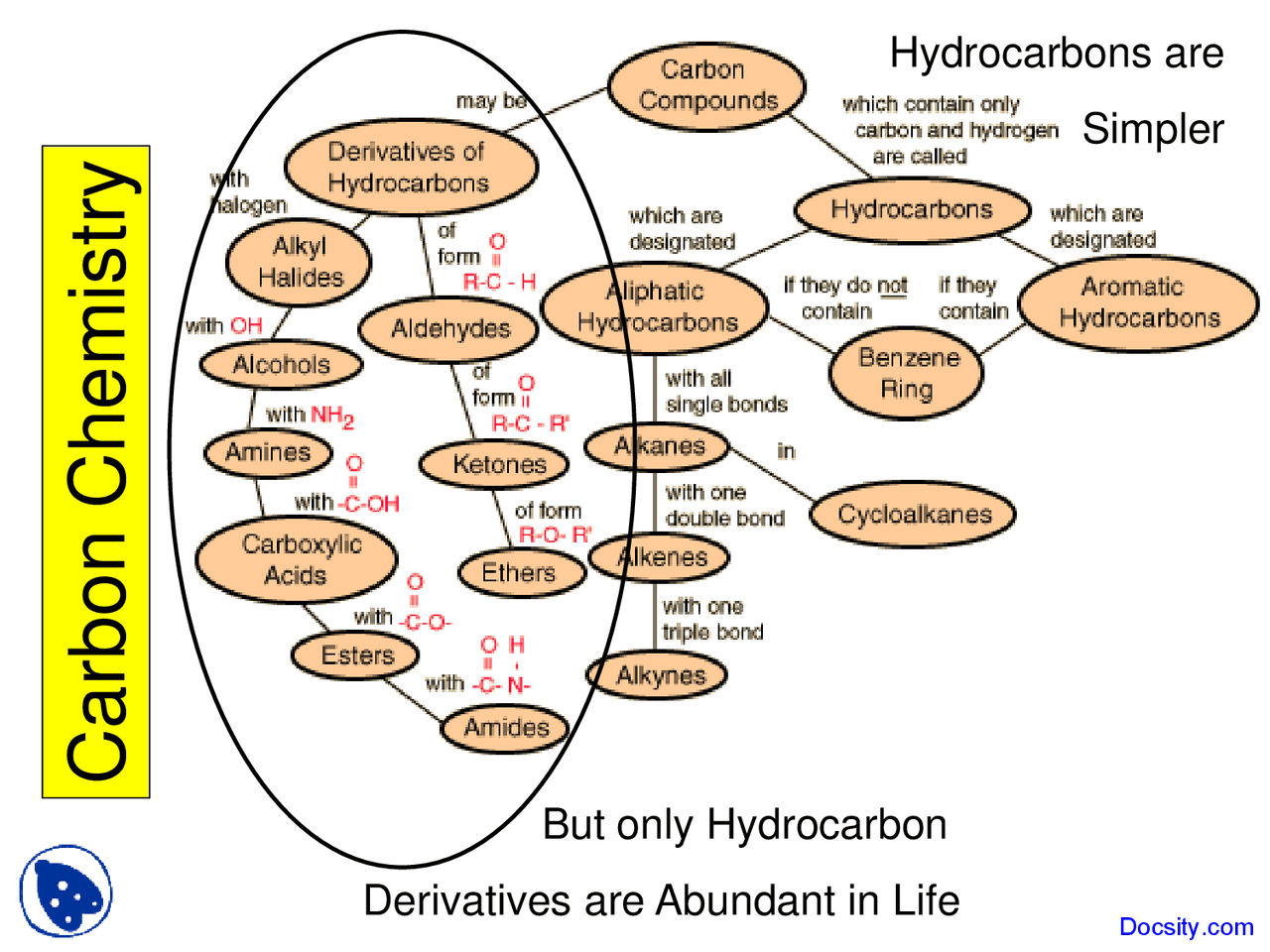 Carbon Chemistry - Introduction to Biology - Lecture Slides - Docsity
