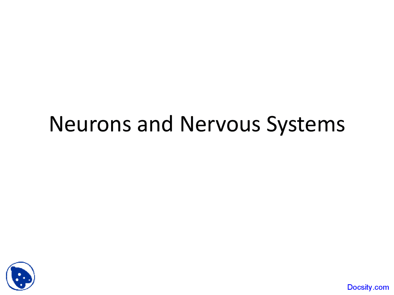 Neurons And Nervous Systems Introduction To Biology Lecture Slides