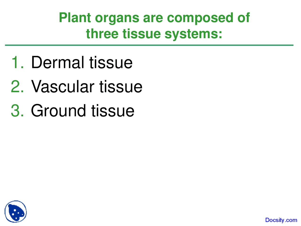 Plant Tissue Systems Introduction To Biology Lecture Slides