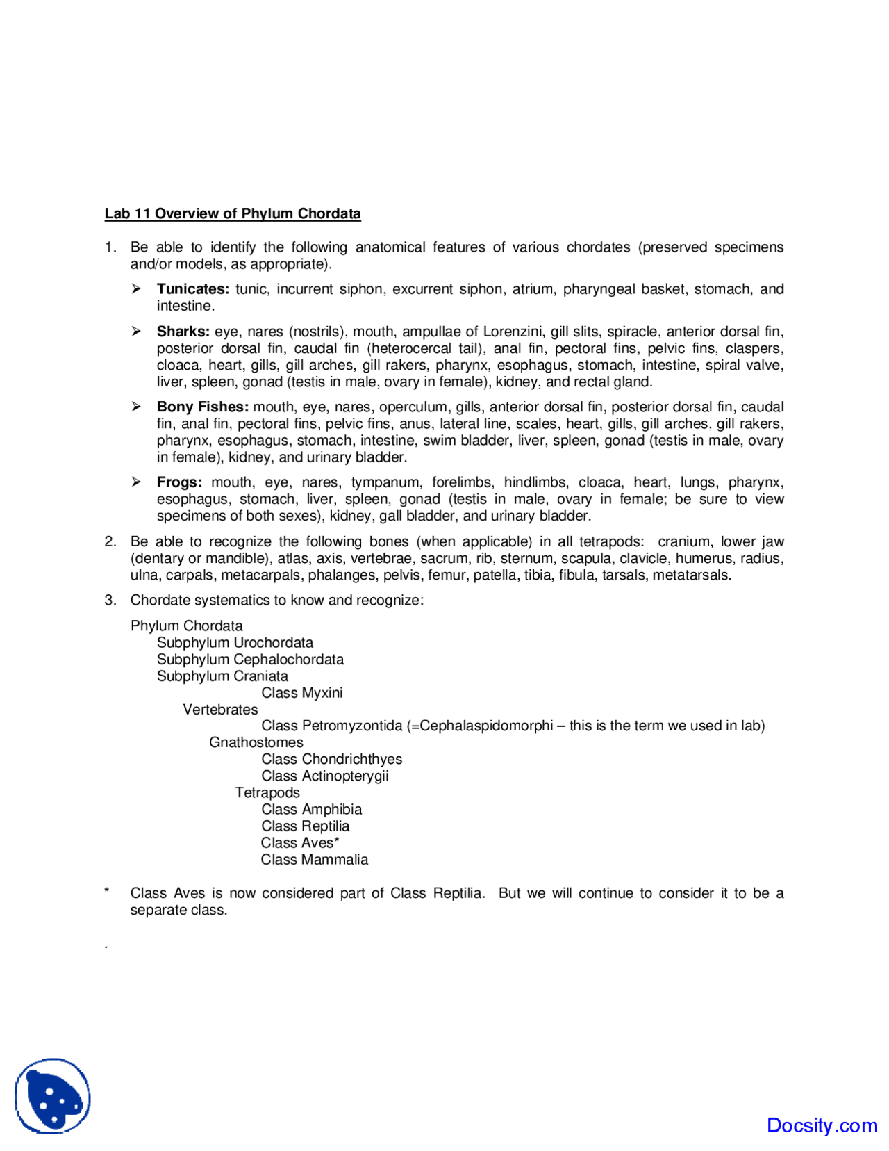 Overview of Phylum Chordata - Introduction to Biology - Quiz ...
