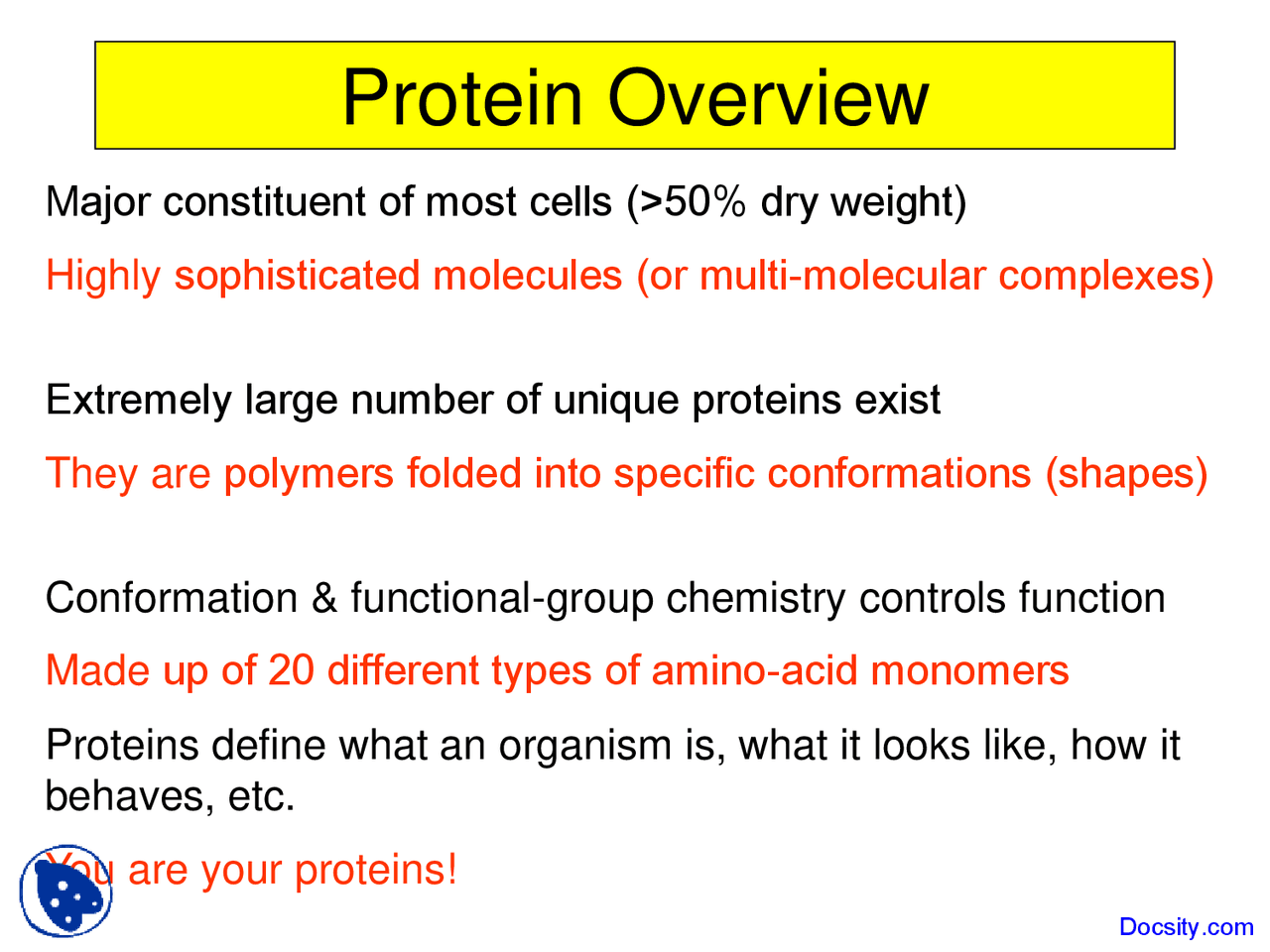 Protein Overview Introduction To Biology Lecture Slides Docsity