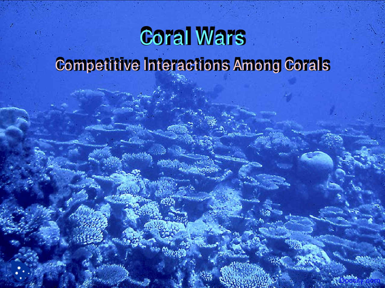 Coral Wars - Coral Reef Biology - Lecture Slides - Docsity