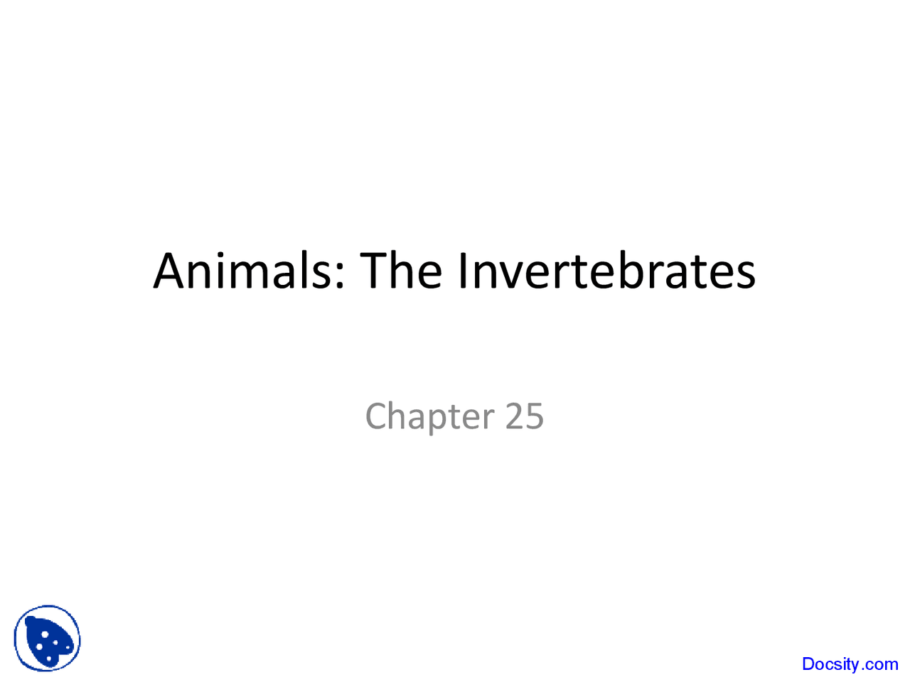 Animals Invertebrates - Biological Principles - Lecture Slides - Docsity