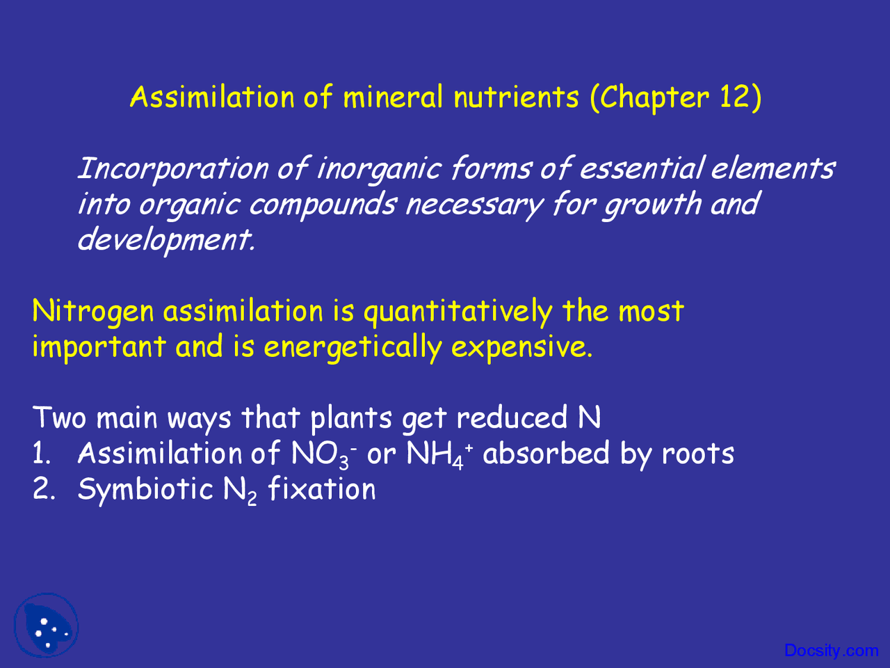 Assimilation of Mineral Nutrients - Plant Physiology - Lecture Slides ...