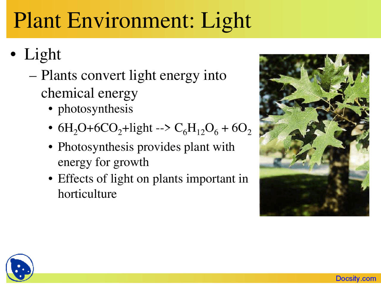 Plant Environment Light Horticulture Lecture Slides Slides
