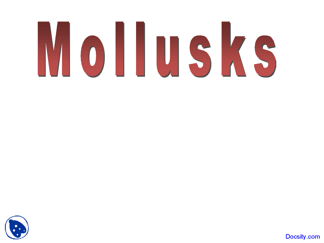 Mollusks - Introduction to Biology - Lecture Slides - Docsity
