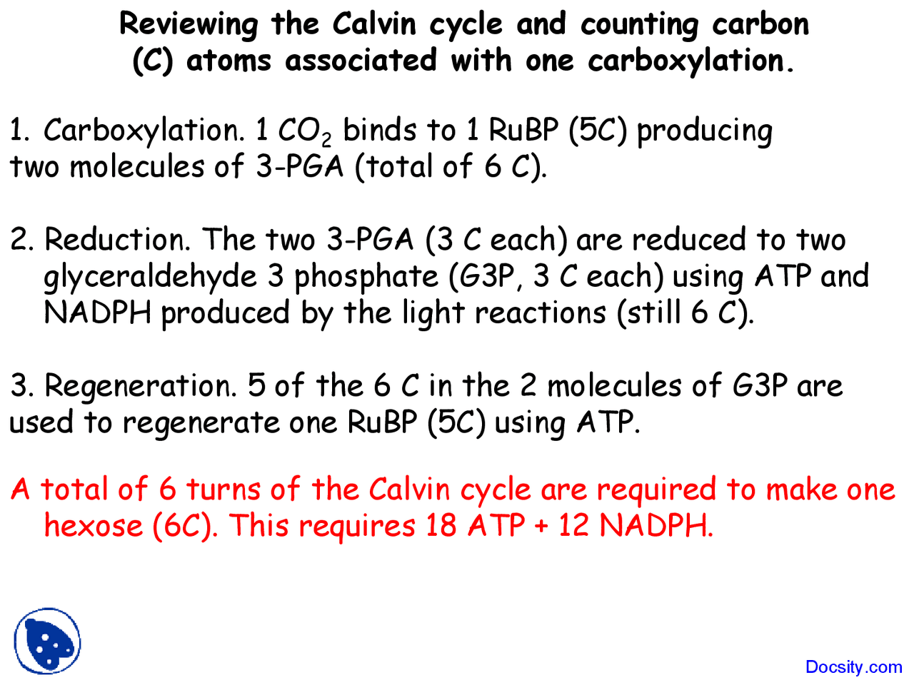 Calvin Cycle Plant Physiology Lecture Slides Slides Physiology