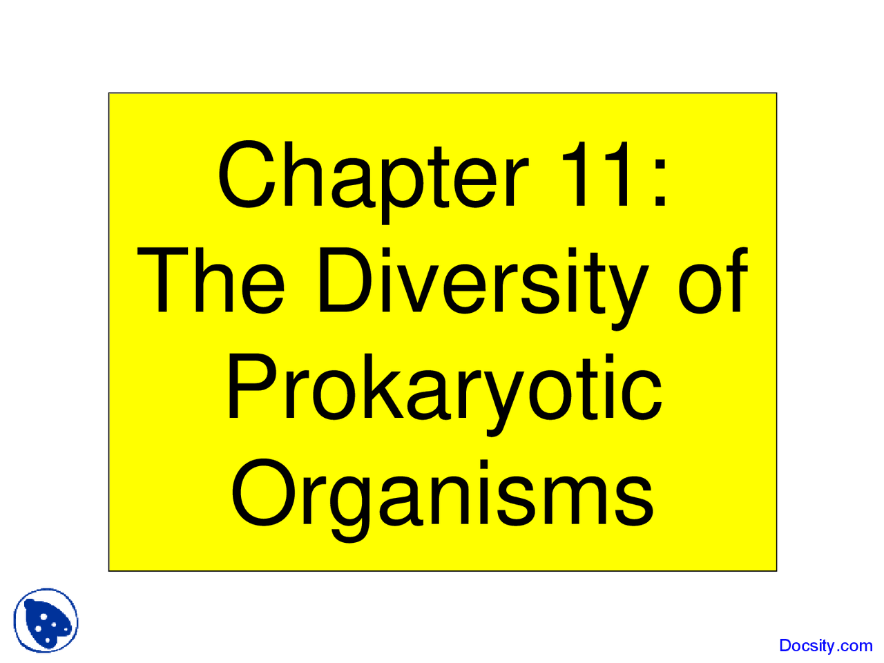 Diversity Of Prokaryotic Organisms Introduction To Biology Lecture