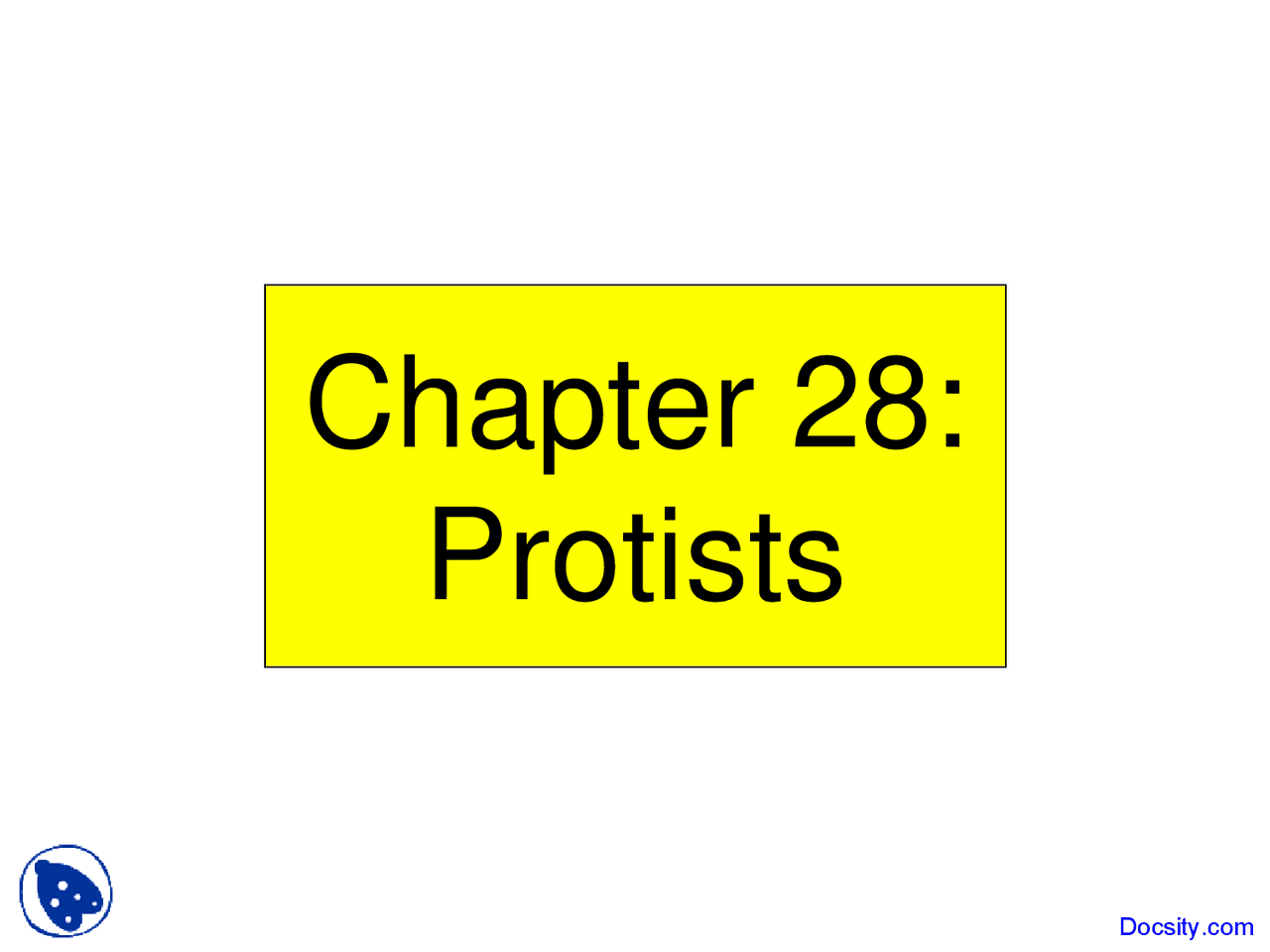 Protists Introduction To Biology Lecture Slides Docsity