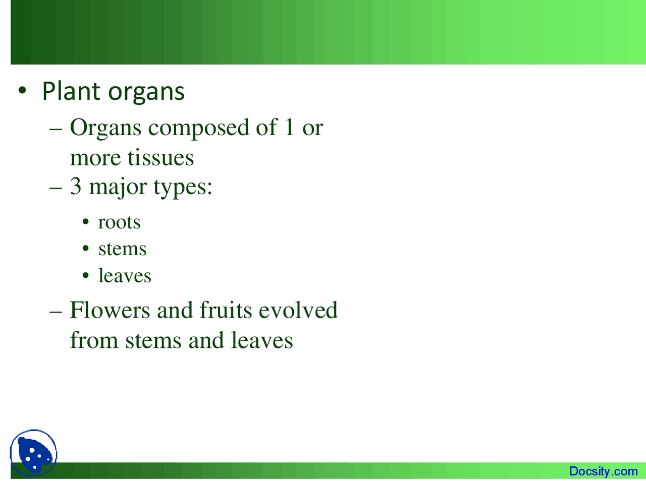 Plant Organs Structure - Horticulture - Lecture Slides - Docsity