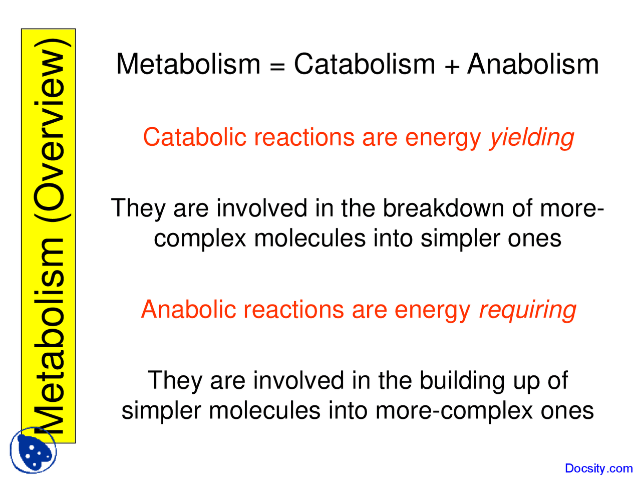 Catabolic Reactions - Introduction to Biology - Lecture Slides | Slides ...