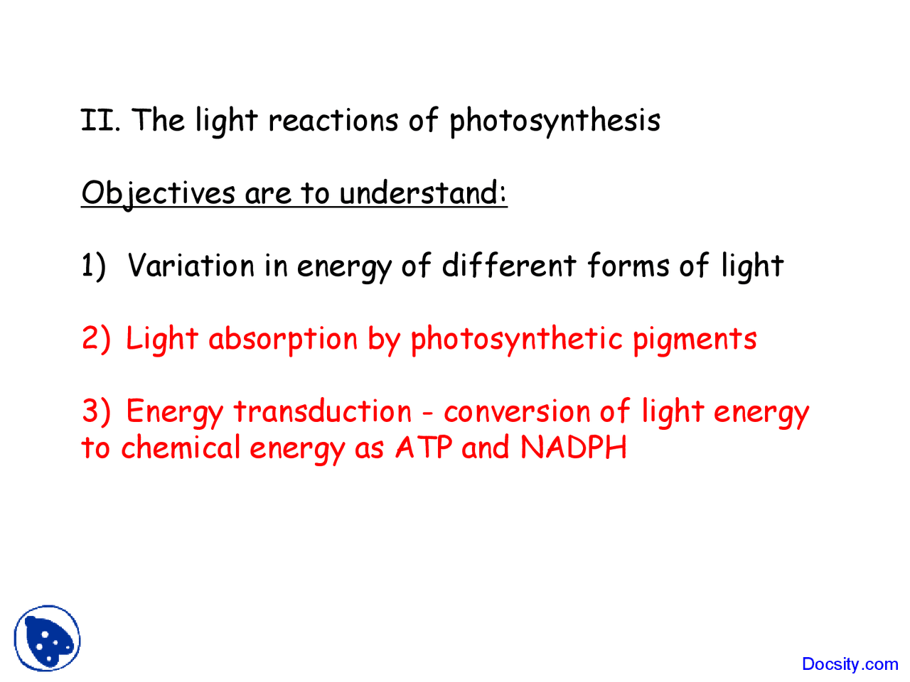Light Reactions of Photosynthesis - Plant Physiology - Lecture Slides ...