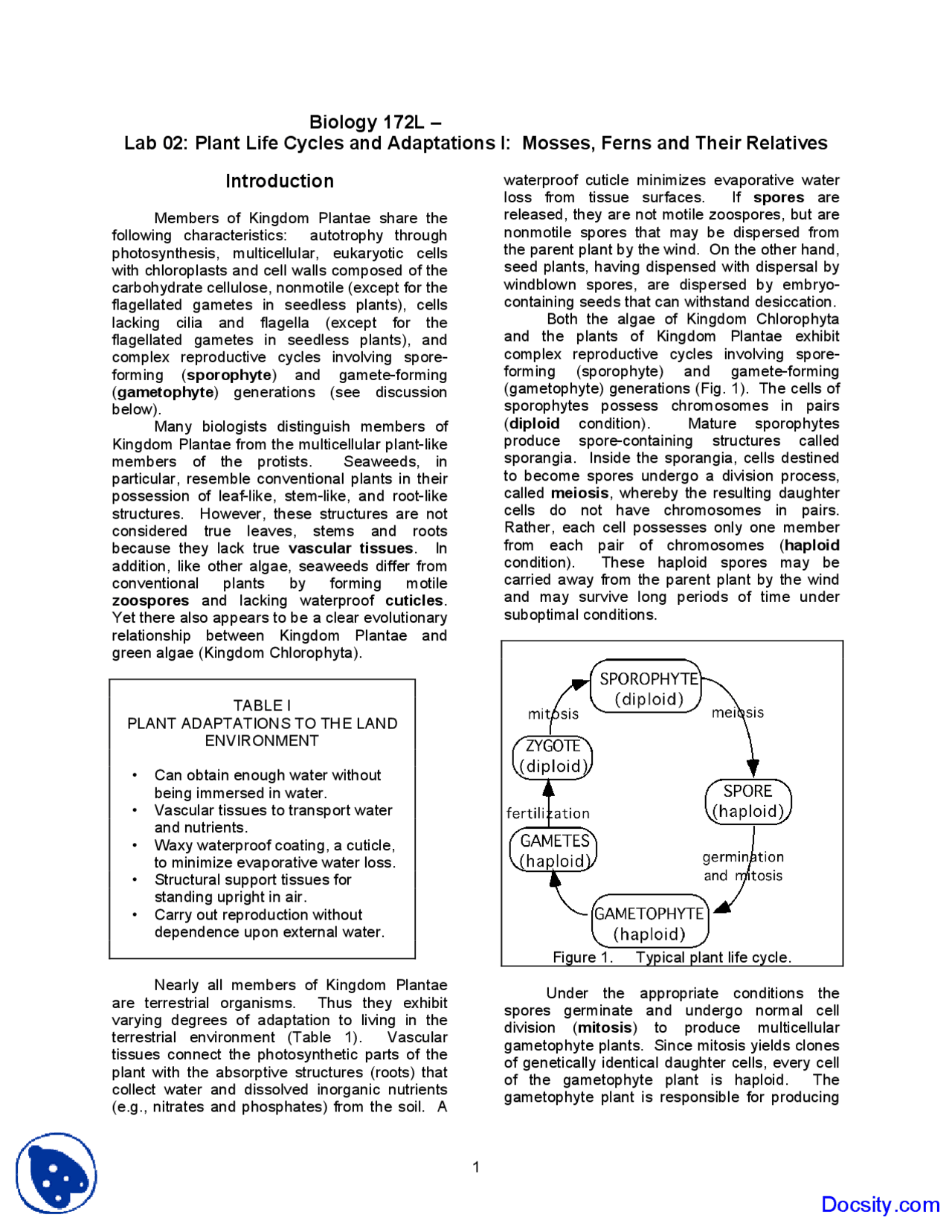 Mosses Ferns Introduction To Biology Lab Handout Docsity