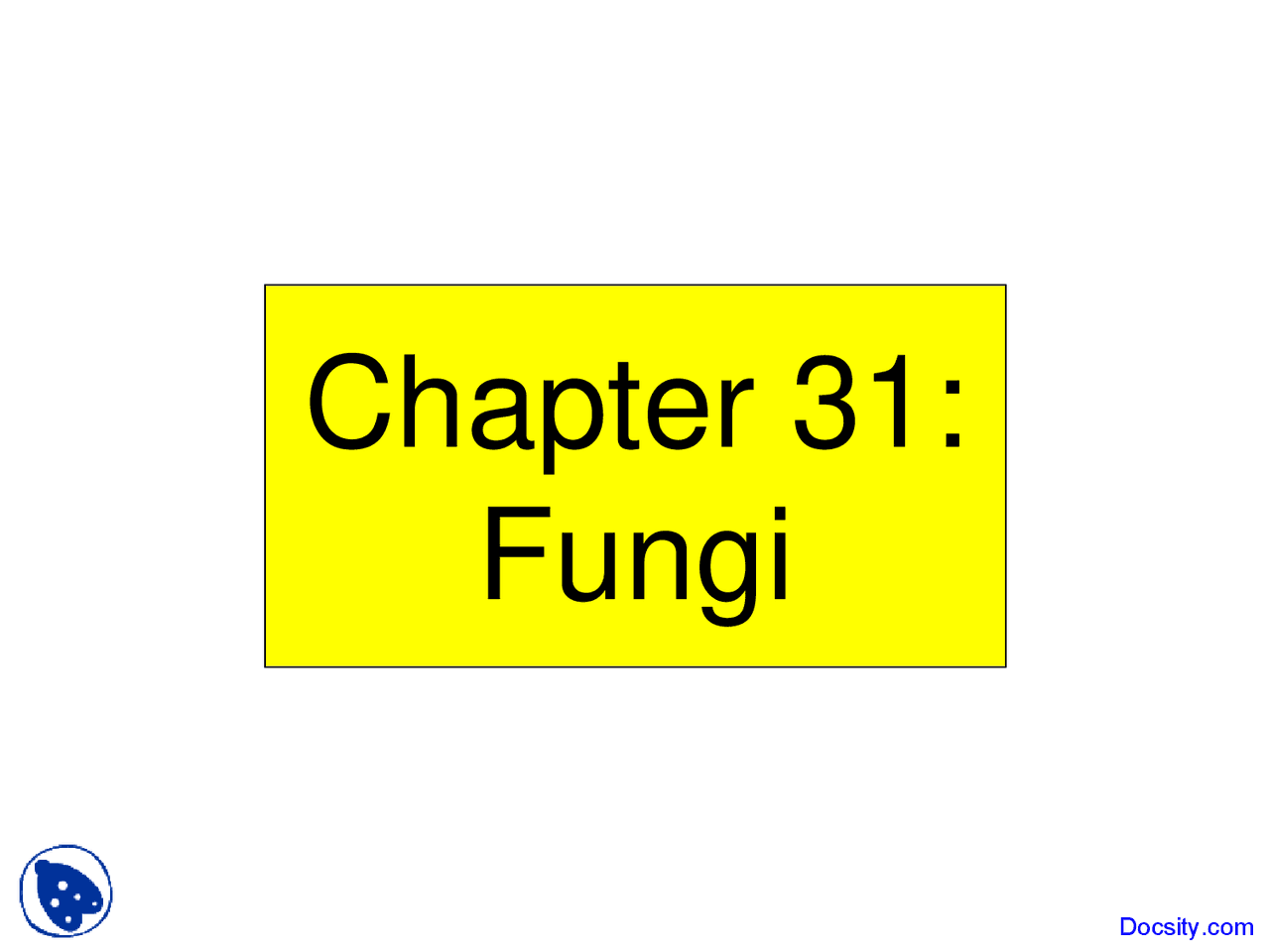 Fungi Introduction To Biology Lecture Slides Docsity