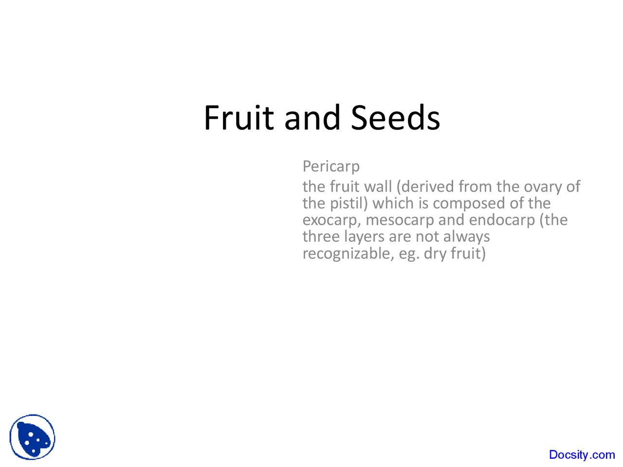 Fruit And Seeds Introduction To Biology Lecture Slides Slides