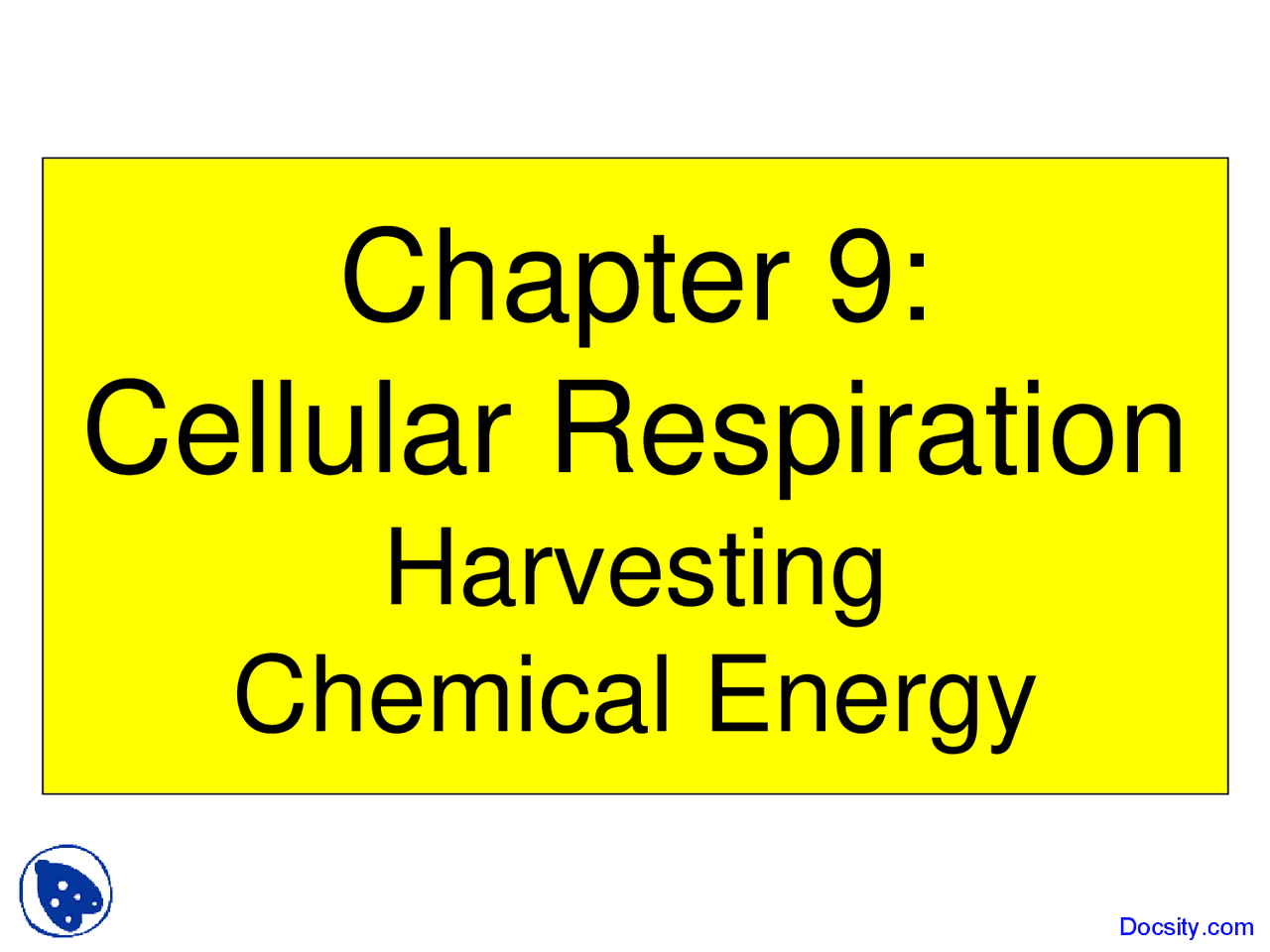 Cellular Respiration - Introduction to Biology - Lecture Slides ...