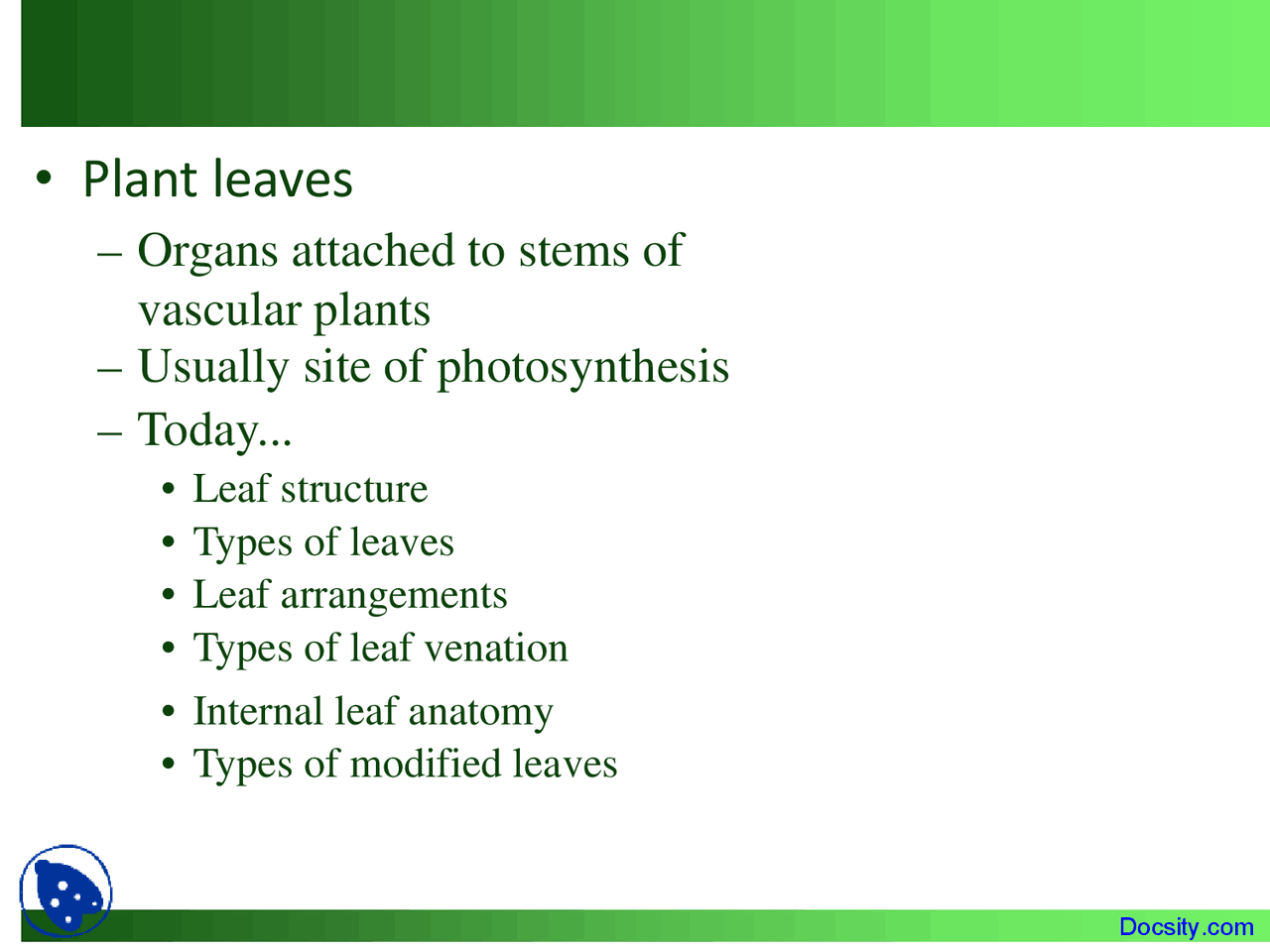 Plant Leaves Structure Horticulture Lecture Slides Docsity