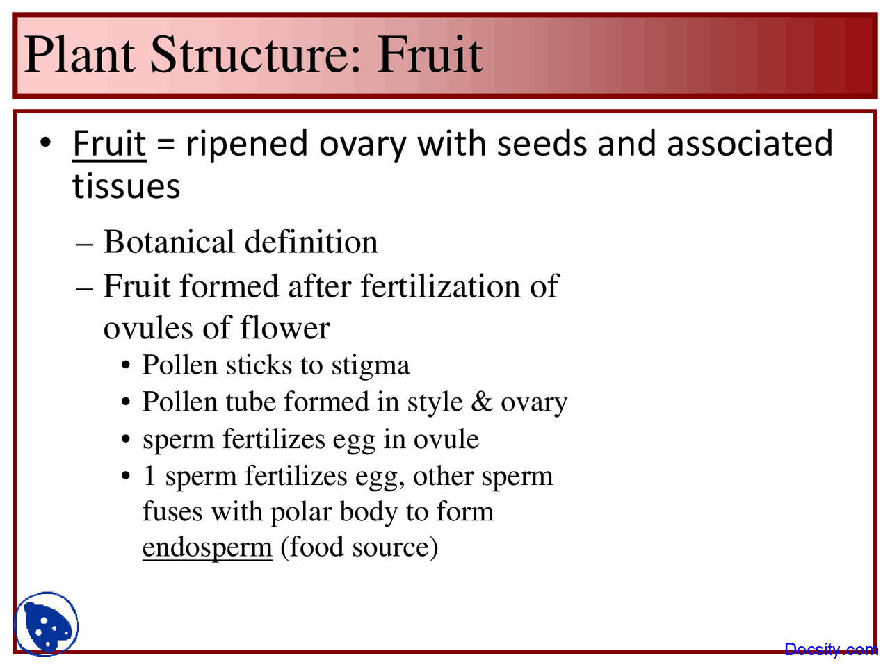 Plant Fruit Structure Horticulture Lecture Slides Docsity