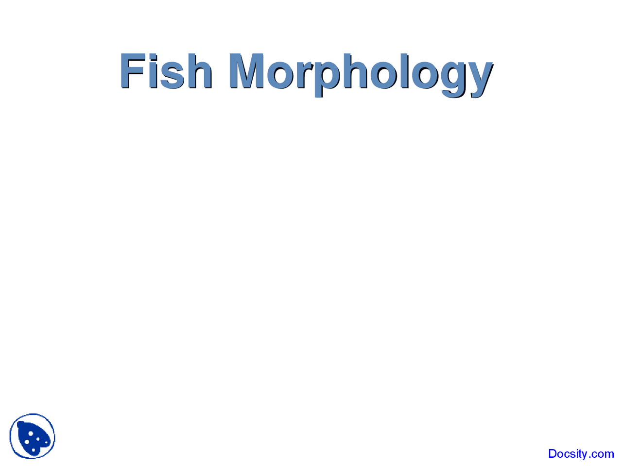 Fish Morphology - Coral Reef Biology - Lecture Slides - Docsity