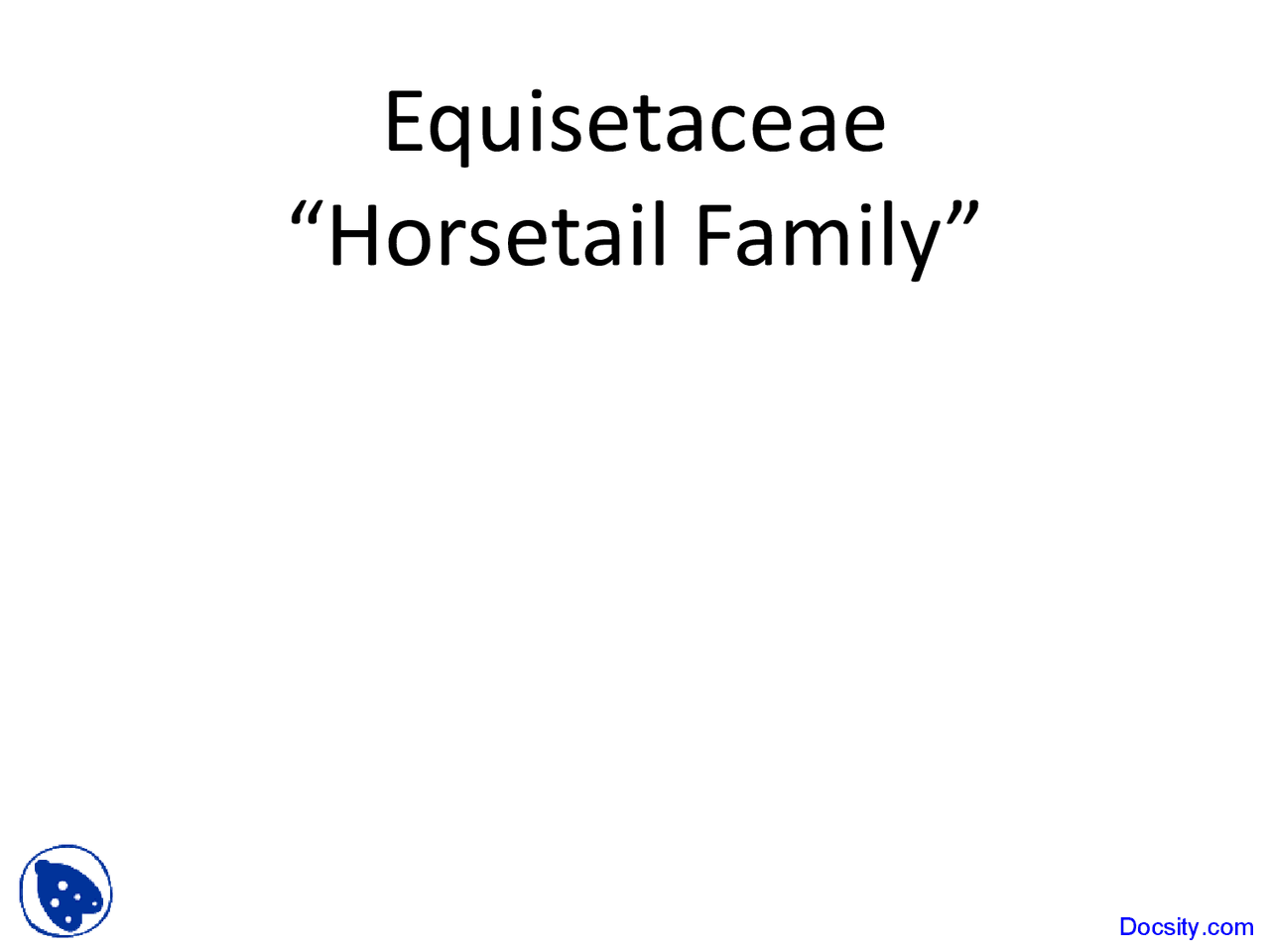 Equisetaceae Plants Identifcation Lecture Slides Docsity