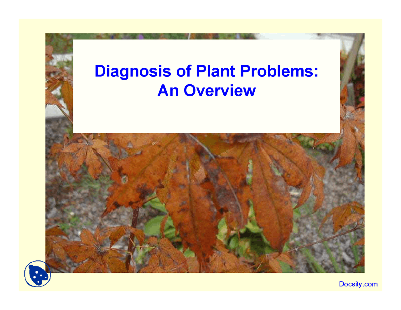 Diagnosis Of Plant Problems Urban Plant Protection Lecture Slides