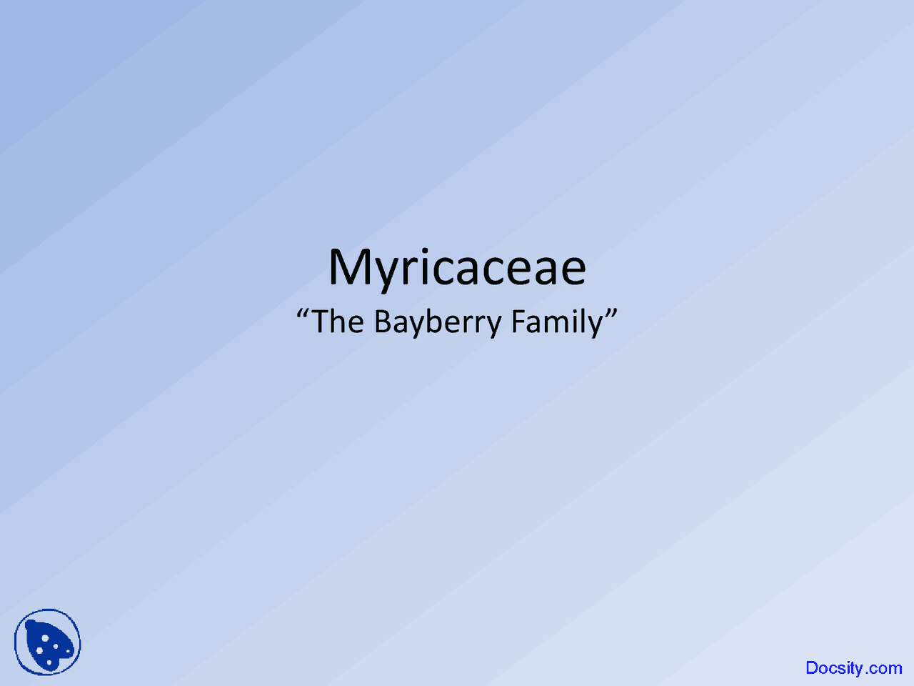 Myricaceae Plants Identifcation Lecture Slides Docsity