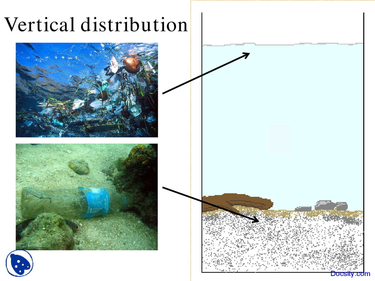 Impact of Human Activities on Ocean Pollution: A Focus on Plastic Waste ...