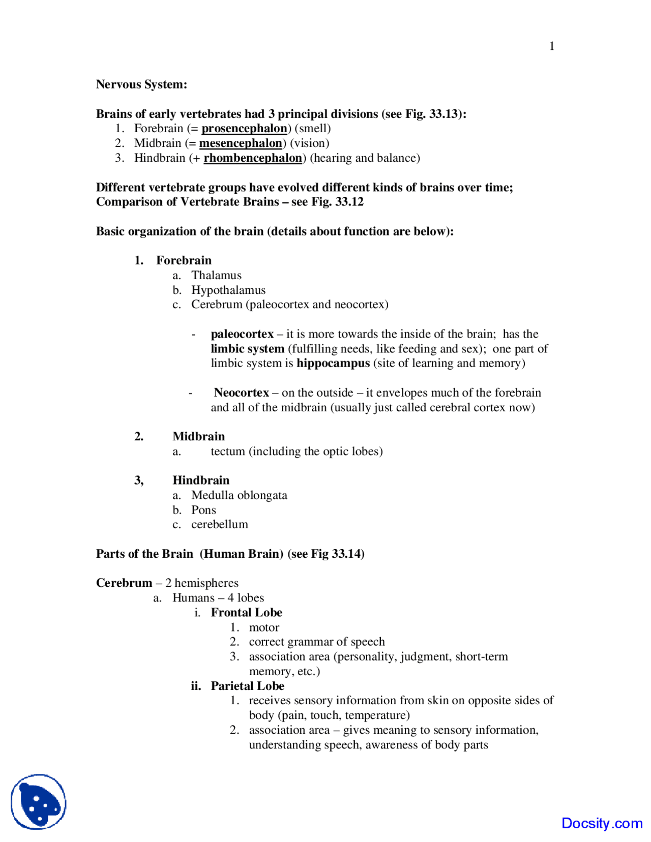 Brains of Early Vertebrates - Vertebrate Zoology - Lecture Notes ...