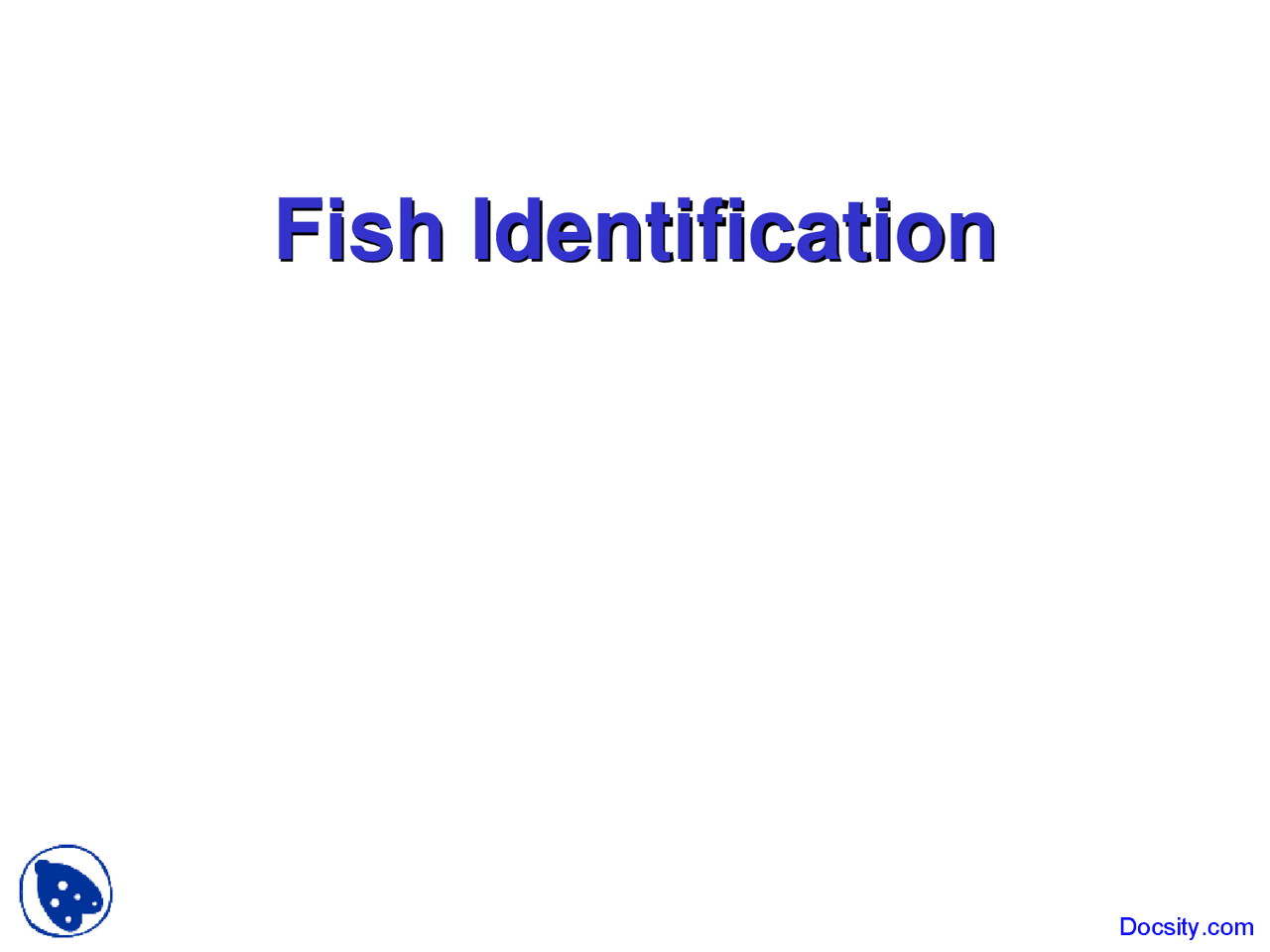 Fish Identification - Coral Reef Lab and Field Studies - Lecture Slides ...