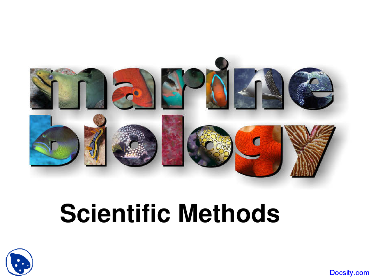 Scientific Methods - Marine Biology - Lecture Slides - Docsity