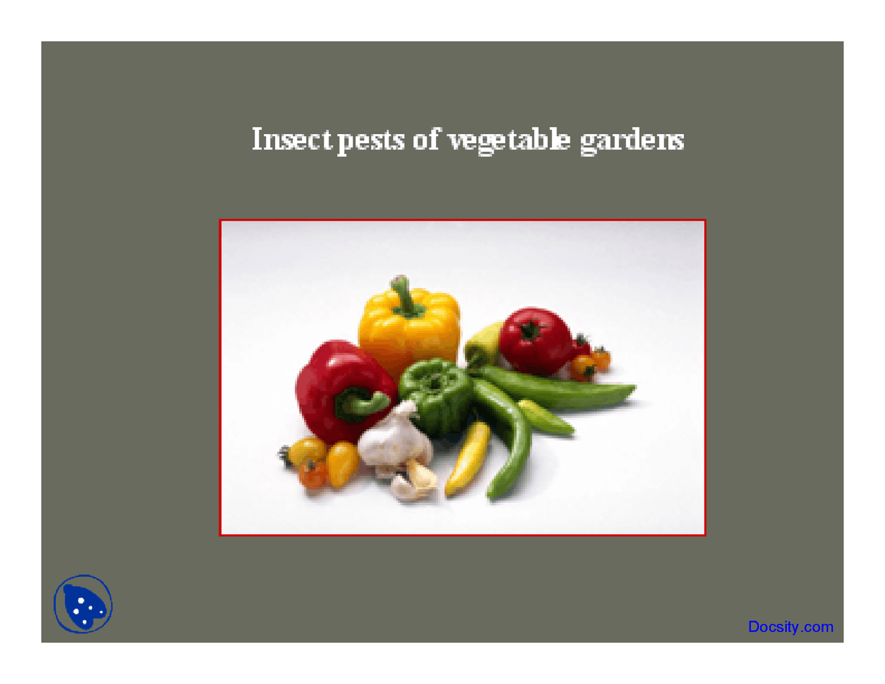 Pests Of Vegetable Garden Urban Plant Protection Lecture Slides