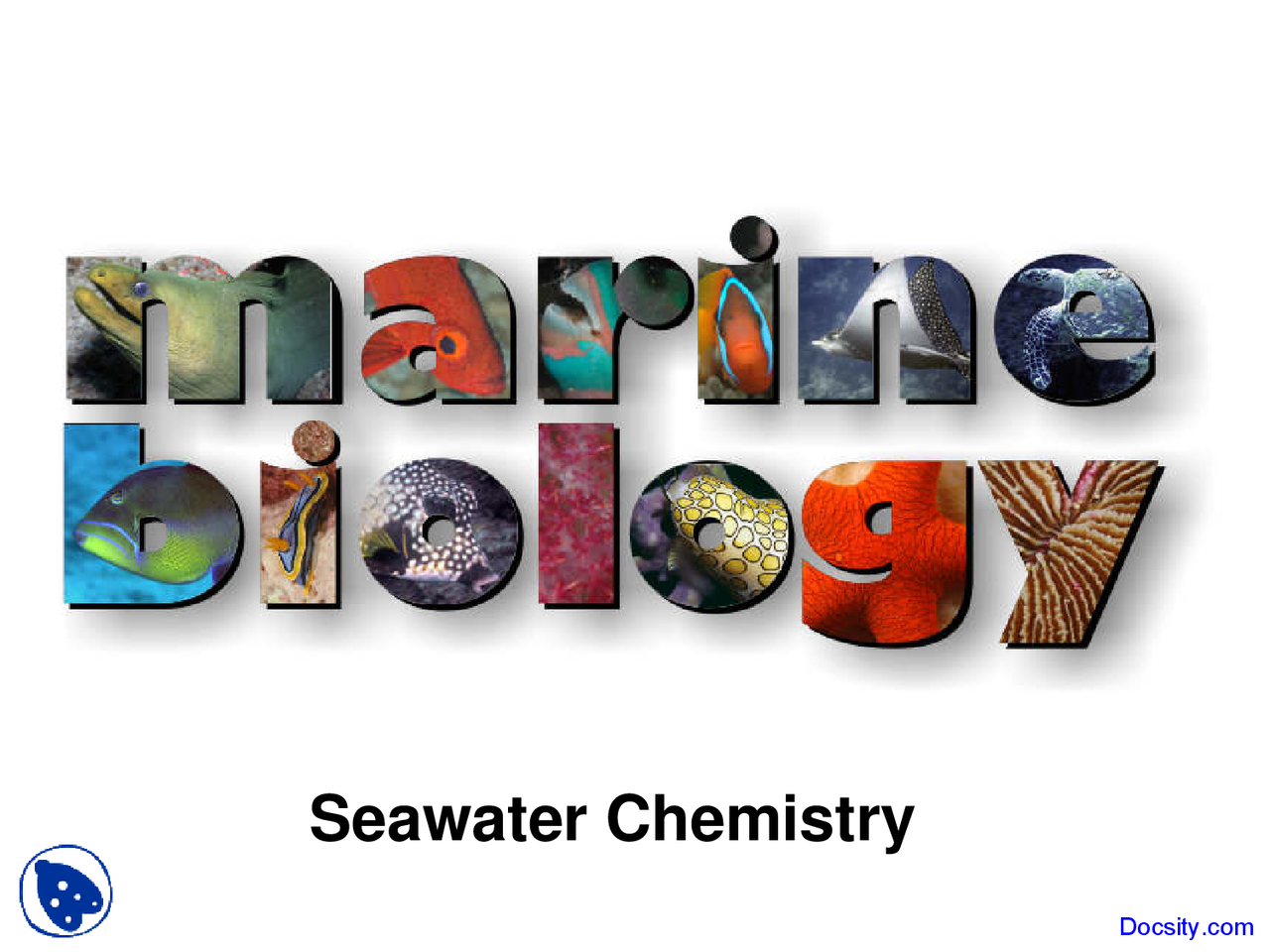 Seawater Chemistry Marine Biology Lecture Slides Docsity