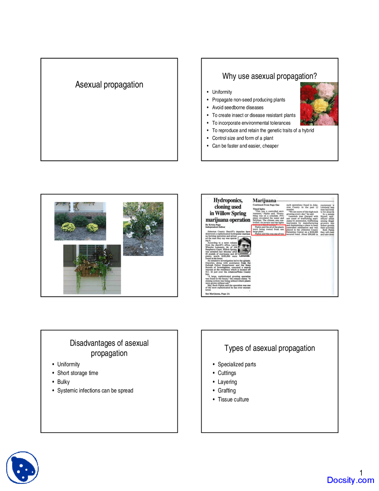 Asexual Propagation Plants For Pleasure And Profit Lecture Slides