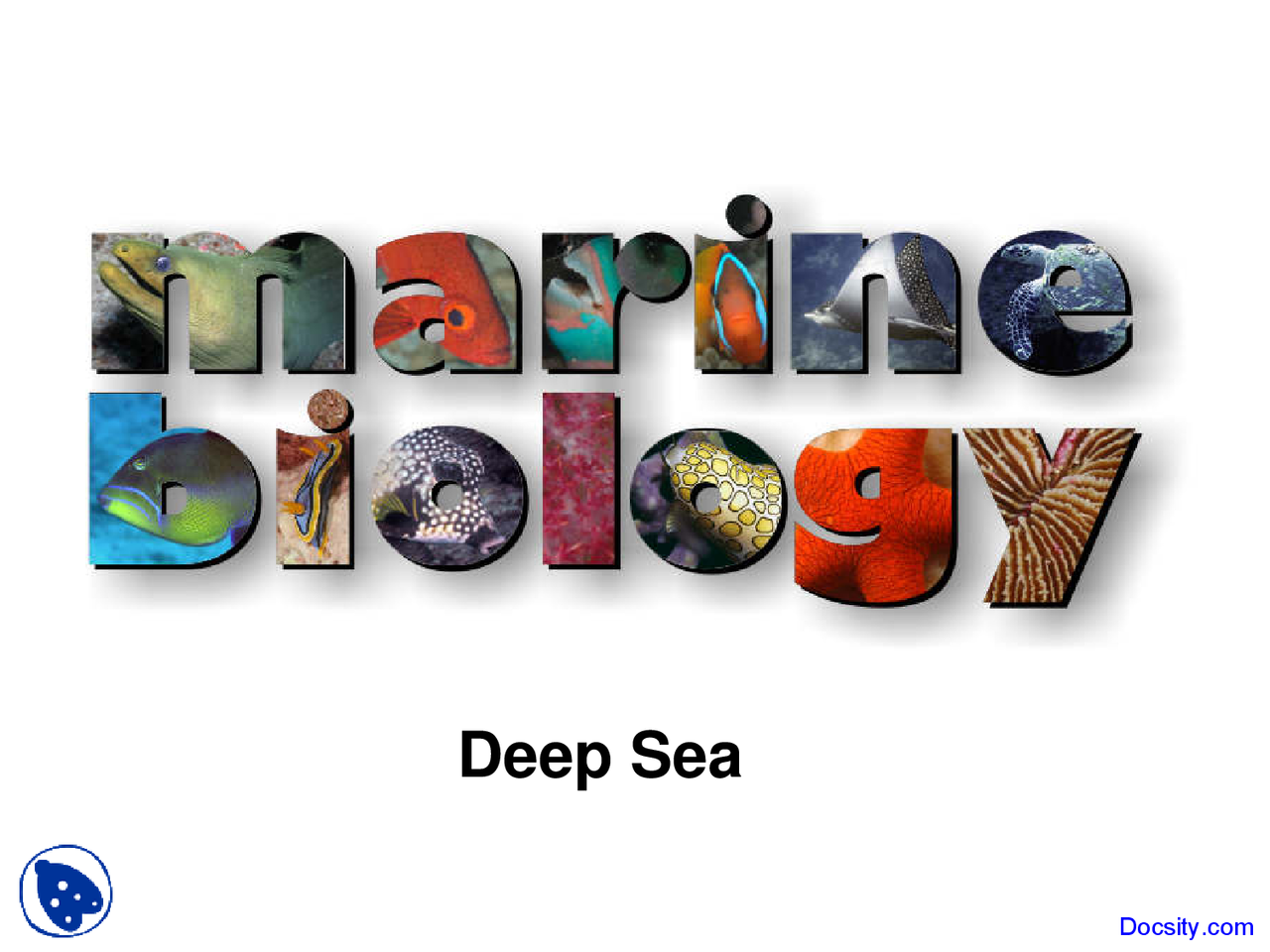Deep Sea Marine Biology Lecture Slides Docsity