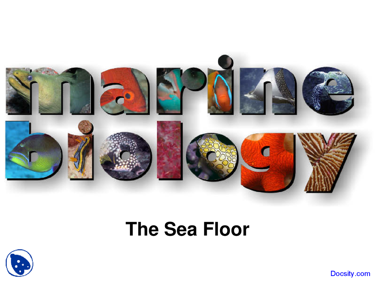 Sea Floor - Marine Biology - Lecture Slides - Docsity