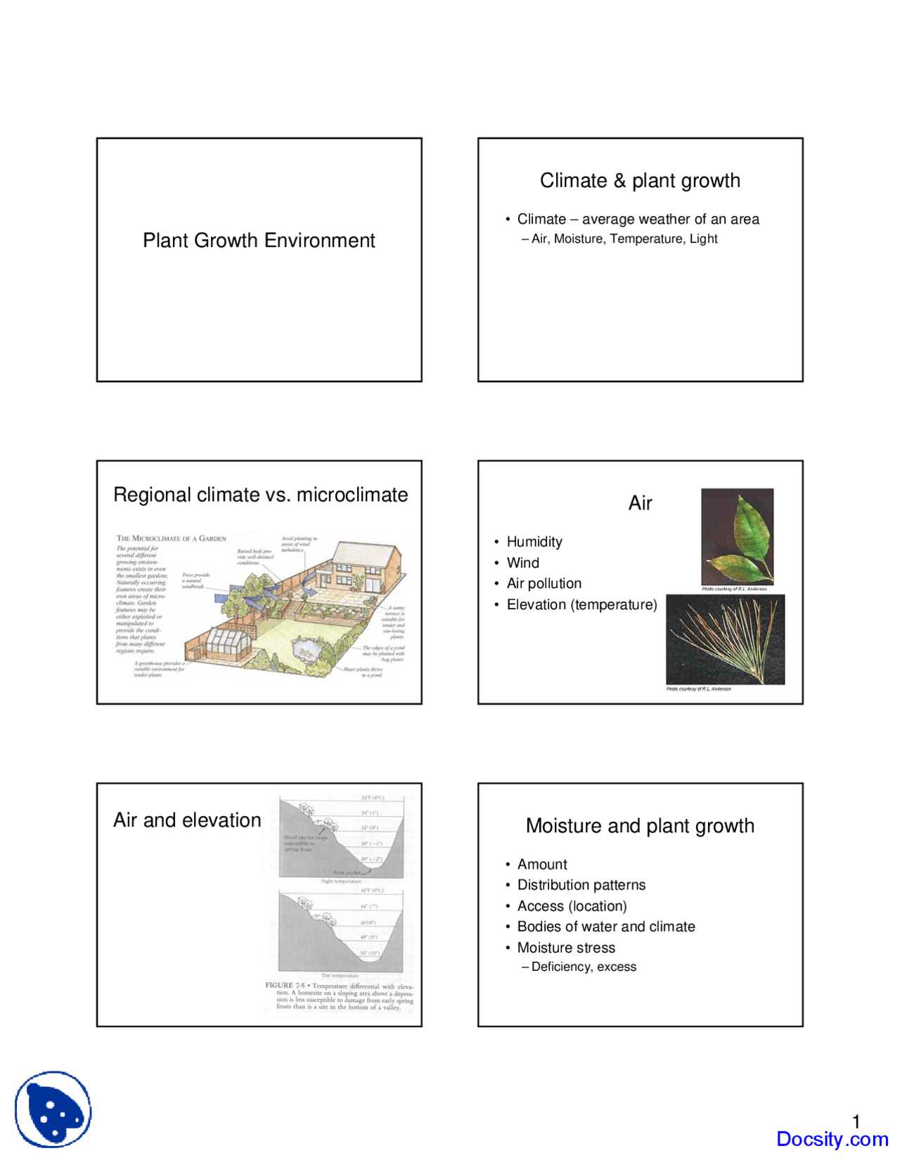Plant Growth Environment - Plants for Pleasure and Profit - Lecture ...