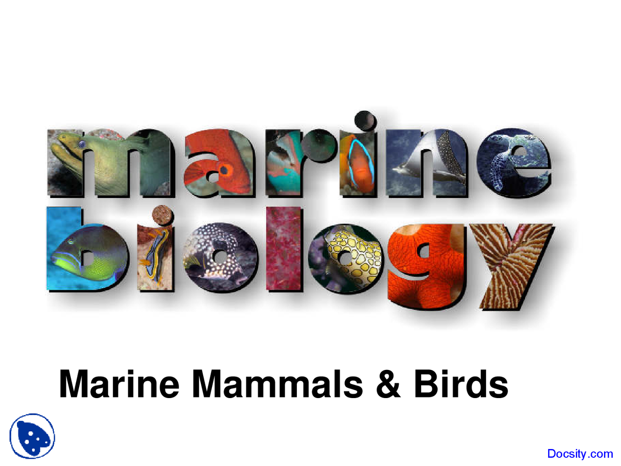 Marine Mammals and Birds: Adaptations and Characteristics | Slides ...