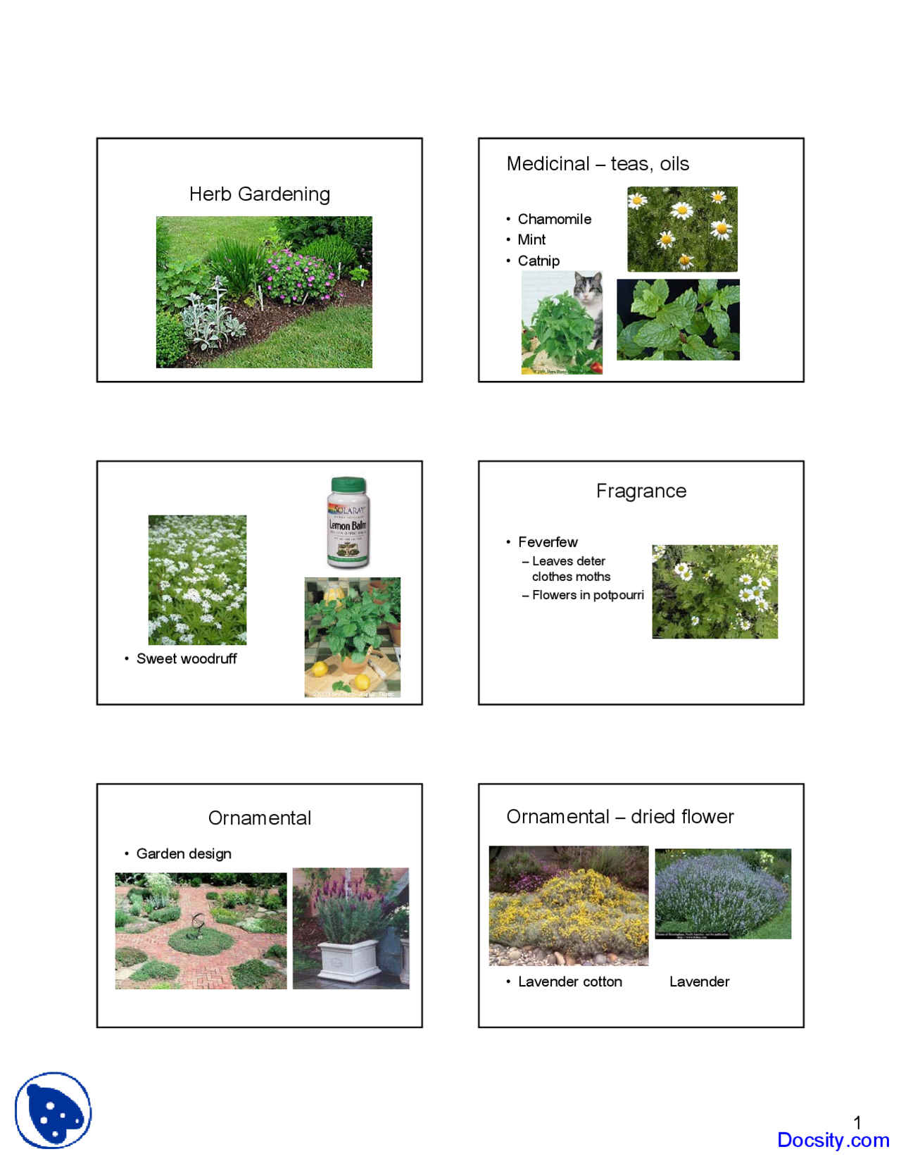 Herb Gardening Plants For Pleasure And Profit Lecture Slides Docsity