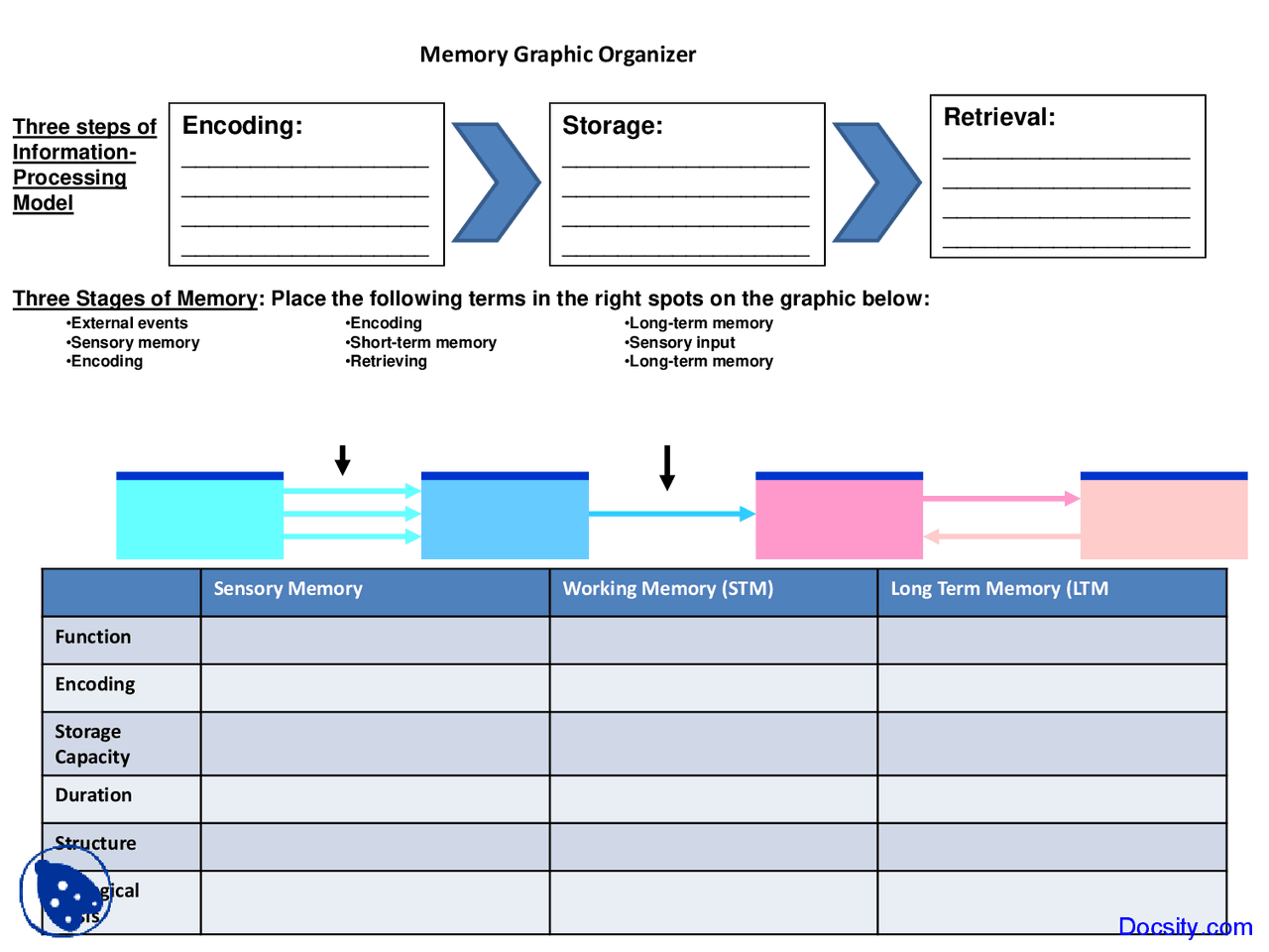 Memory Graphic Organizer - Advanced Placement Psychology - Quiz - Docsity