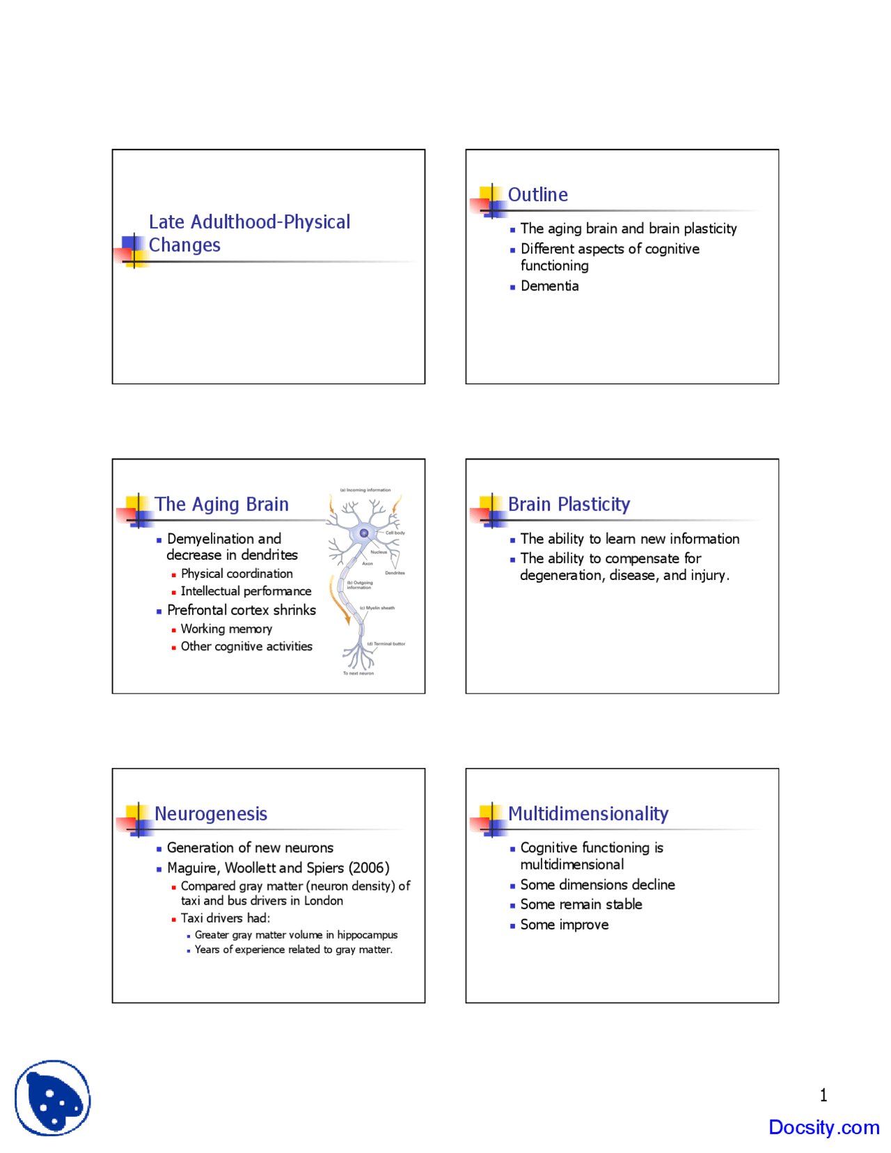 Late Adulthood Cognitive Developmental Psychology Lecture Slides