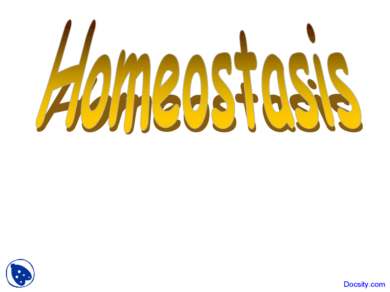 Homeostasis Fundametnals Of Biology Lecture Slides Docsity