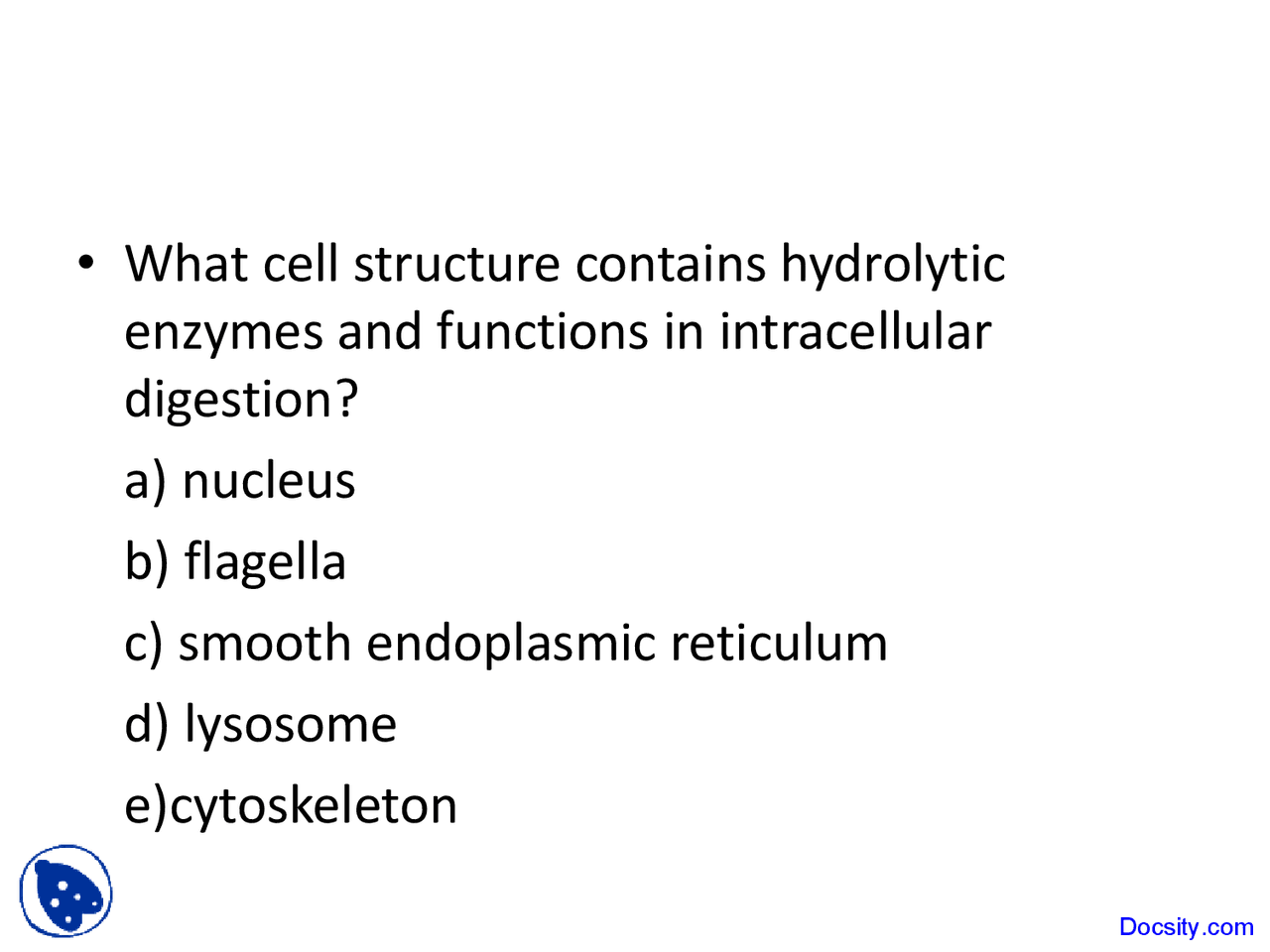 Hydrolytic Enzymes - Fundametnals of Biology - Lecture Slides - Docsity