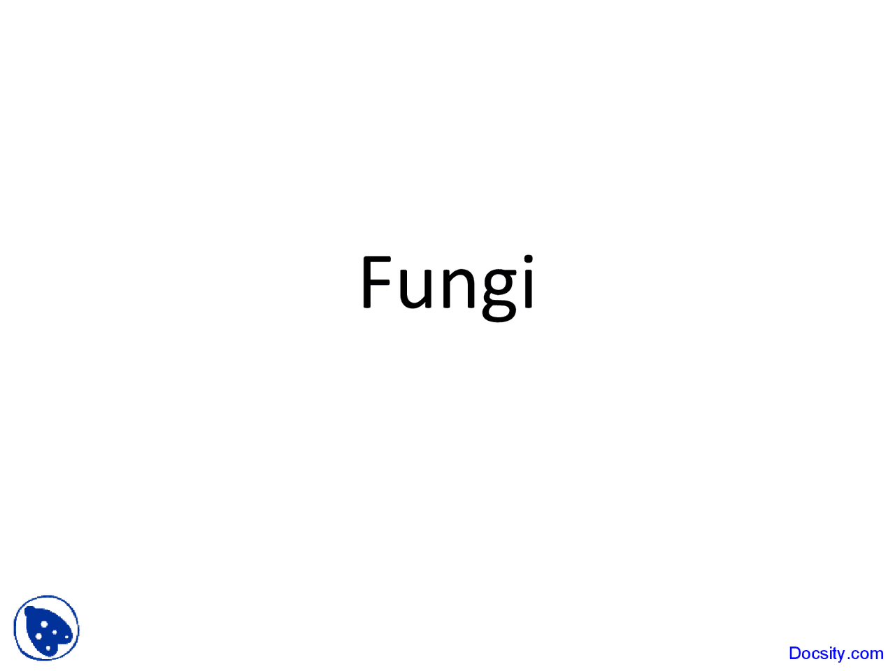 Introduction To Fungi Fundametnals Of Biology Lecture Slides Docsity