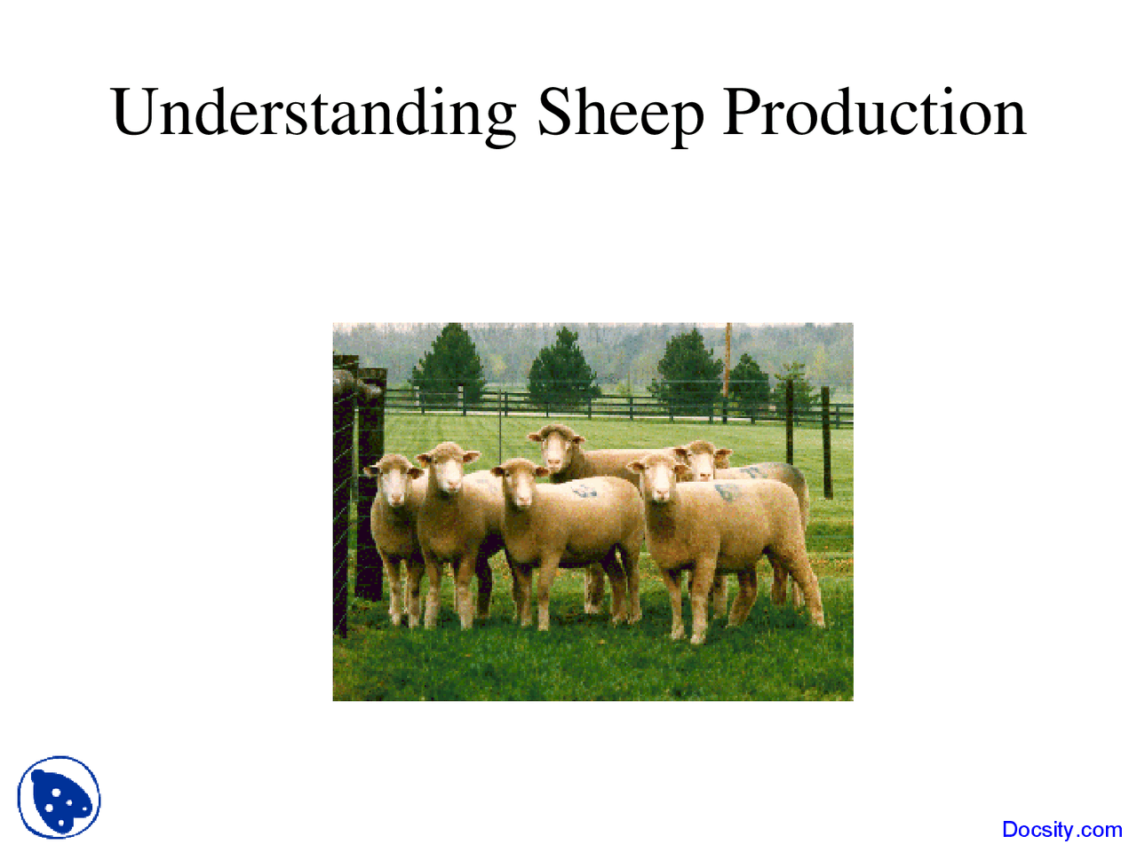 Understanding Sheep Production Sheep Aimal Sceince Lecture Slides