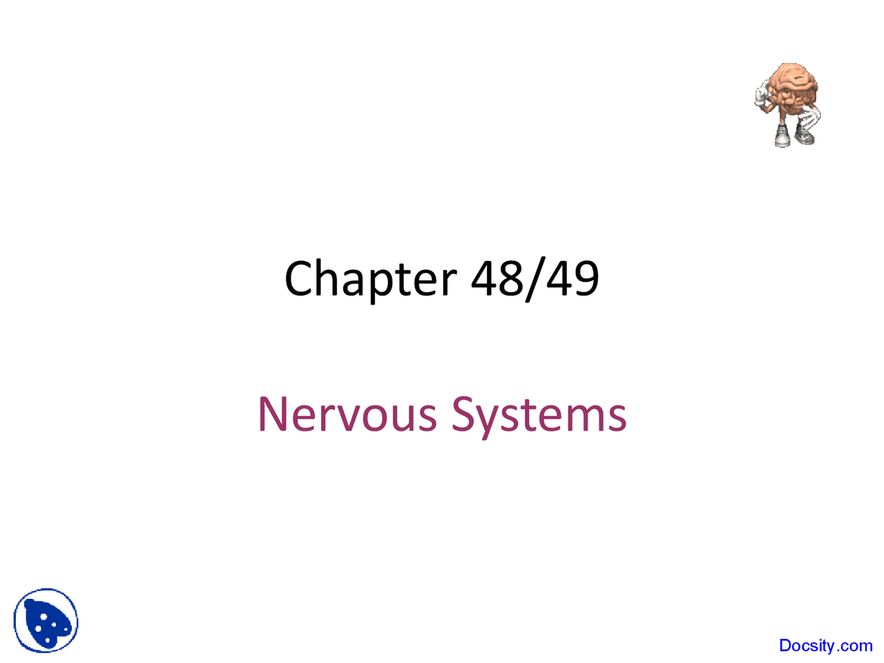 Nervous Systems Fundametnals Of Biology Lecture Slides Docsity