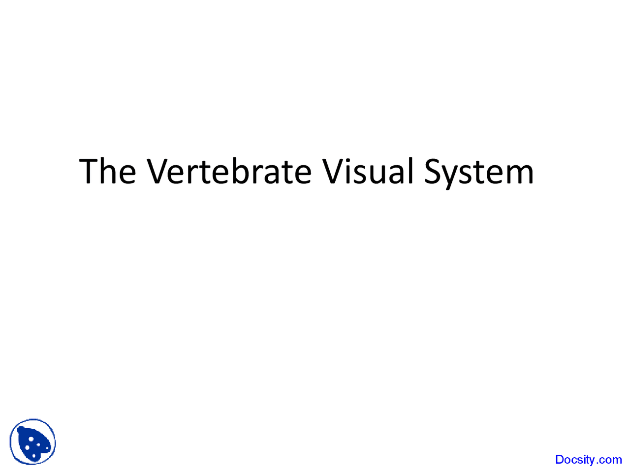 Vertebrate Visual System Fundametnals Of Biology Lecture Slides